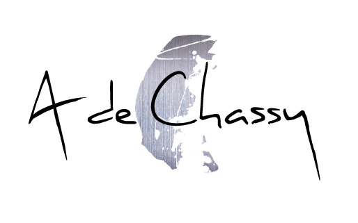 Interview Augustin de Chassy - Adventure BMW